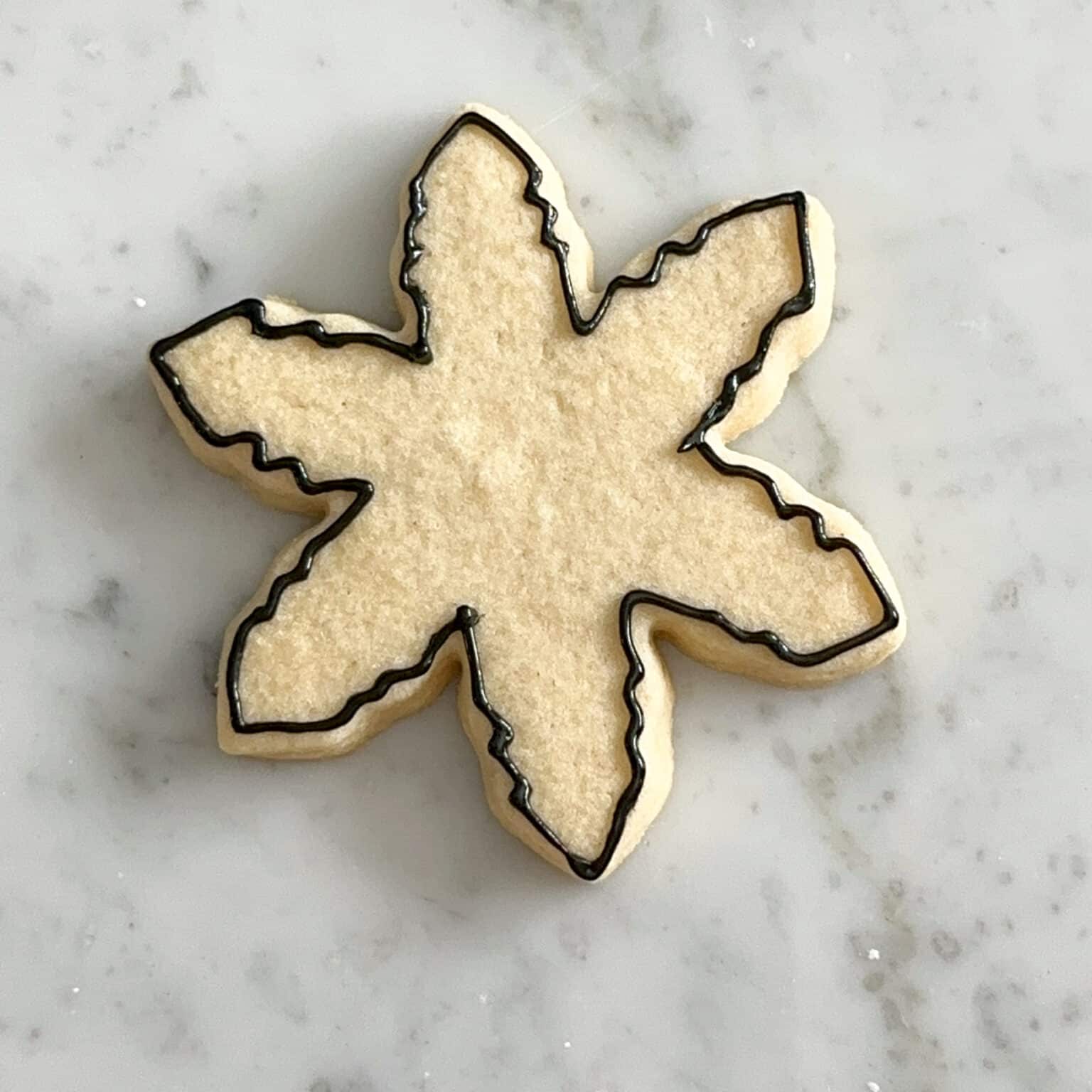 Decorated Snowflake Christmas Cookie Ideas - The Frosted Kitchen